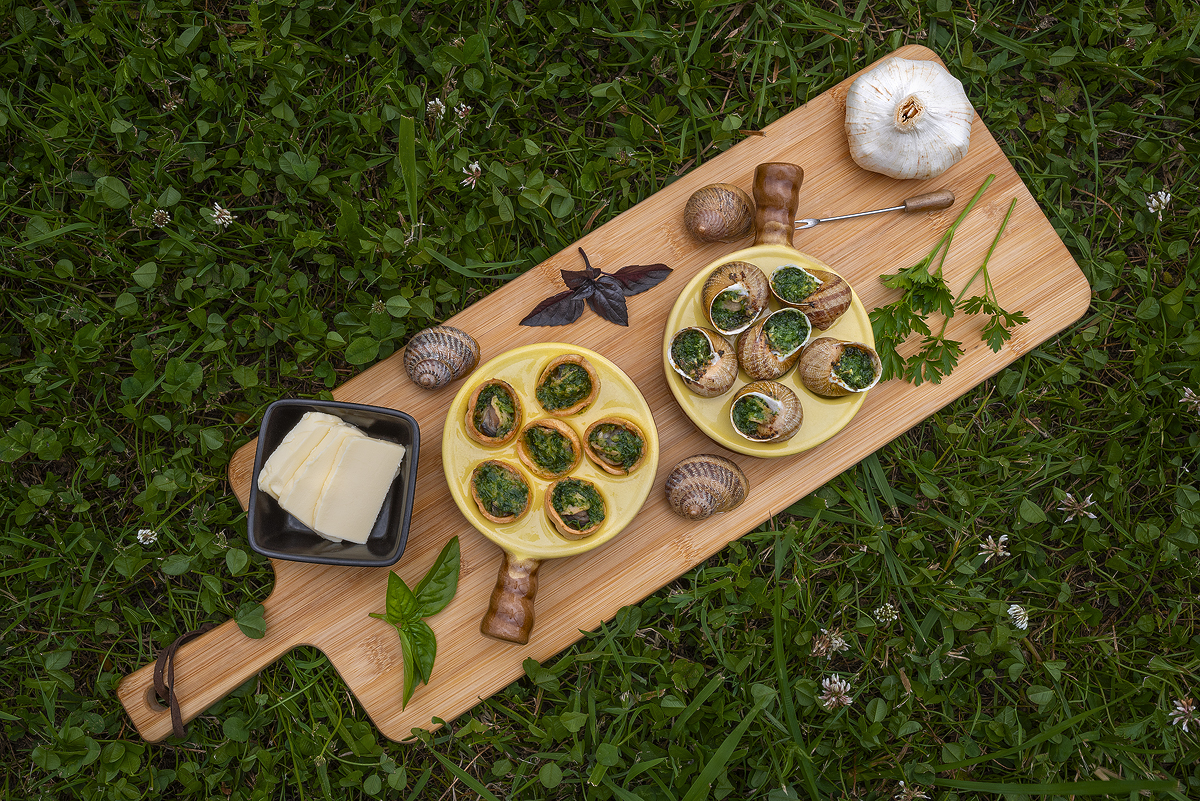 L'Escargot Commingeois – Escargots nés, élevés et transformés en France